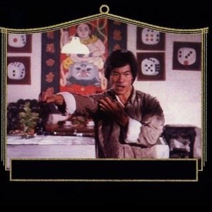 Bruce Li the Invincible - Rotten Tomatoes