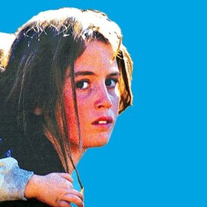 Turtles Can Fly - Rotten Tomatoes
