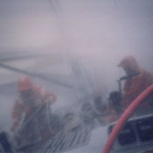 Maiden - Rotten Tomatoes