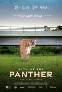 Path of the Panther | Rotten Tomatoes