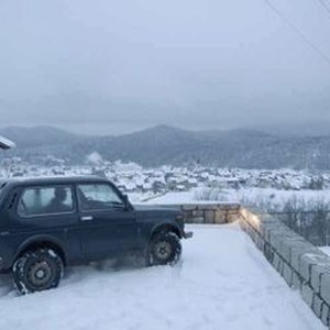 Goran - Rotten Tomatoes