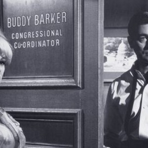 The Candidate - Rotten Tomatoes