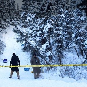 Ice Cold Killers - Rotten Tomatoes