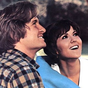 Summertree - Rotten Tomatoes