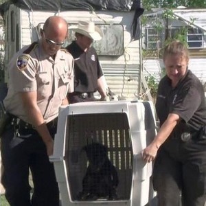 Animal Cops: Houston: Season 14, Episode 13 - Rotten Tomatoes