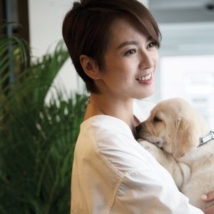 Little Q - Rotten Tomatoes