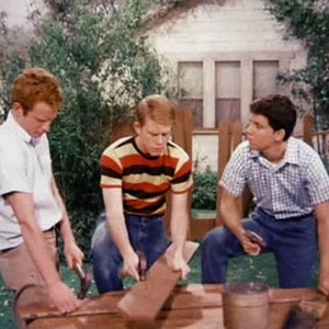 Happy Days - Season 2 Episode 18 - Rotten Tomatoes