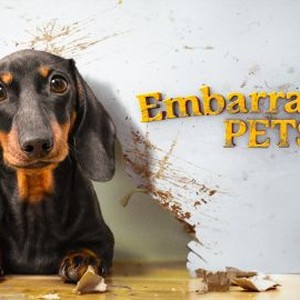 Embarrassing Pets - Rotten Tomatoes