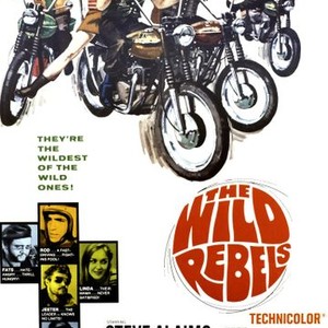 The Wild Rebels - Rotten Tomatoes