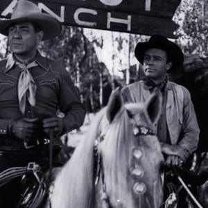 Over the Border - Rotten Tomatoes