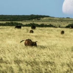 Breaking the Loop - Rotten Tomatoes