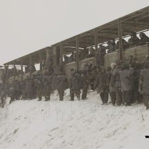 Back to 1942 - Rotten Tomatoes