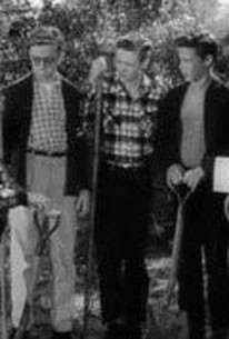 Leave It to Beaver: Season 1, Episode 28 | Rotten Tomatoes