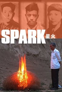 Spark | Rotten Tomatoes