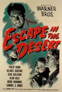Escape in the Desert | Rotten Tomatoes