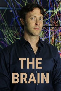 The Brain | Rotten Tomatoes