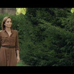 My Old Lady - Rotten Tomatoes