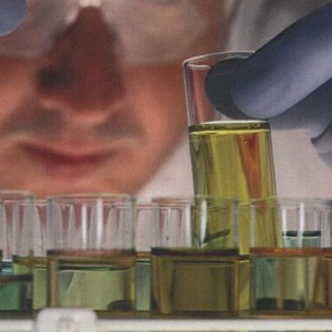 Mystery Detectives: Season 13, Episode 13 - Rotten Tomatoes