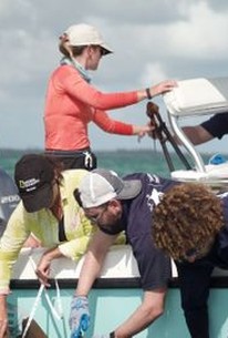 Sharks of the Bermuda Triangle (2020) - Rotten Tomatoes