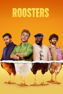 Roosters: Season 1 | Rotten Tomatoes