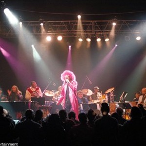 Standing in the Shadows of Motown - Rotten Tomatoes