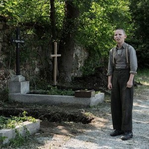 Fog in August - Rotten Tomatoes