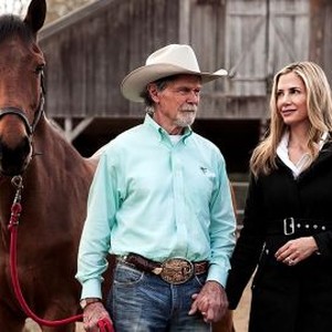 Indiscretion - Rotten Tomatoes