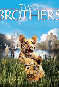 Two Brothers (2004) - Rotten Tomatoes