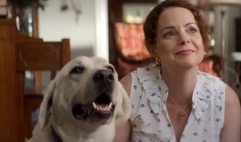 Dog Gone - Rotten Tomatoes