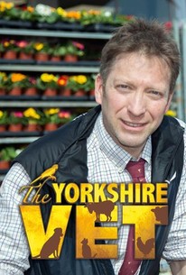 The Yorkshire Vet - Rotten Tomatoes