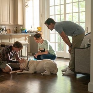 Dog Gone - Rotten Tomatoes