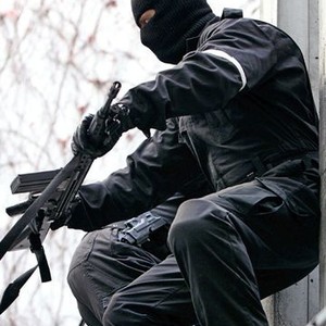 Nokas Robbery - Rotten Tomatoes