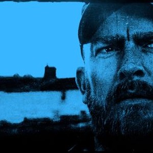 Bait - Rotten Tomatoes