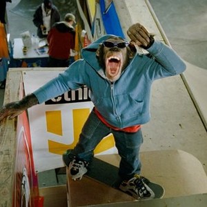 MVP2: Most Vertical Primate - Rotten Tomatoes