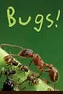 Bugs! (2003) - Rotten Tomatoes