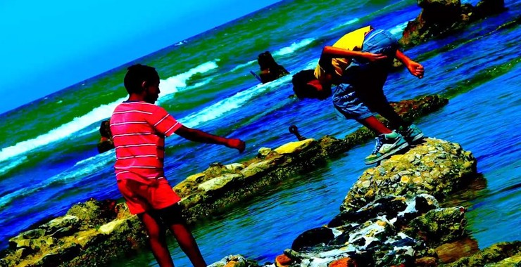 The Image Book - Rotten Tomatoes