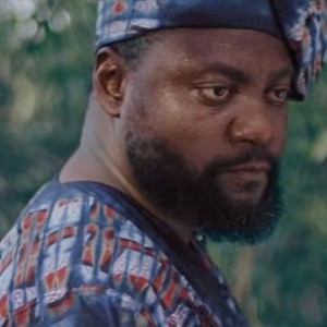 Shadow Parties - Rotten Tomatoes