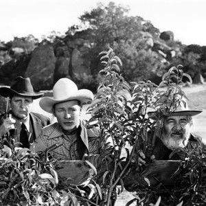 Edmund Cobb - Rotten Tomatoes