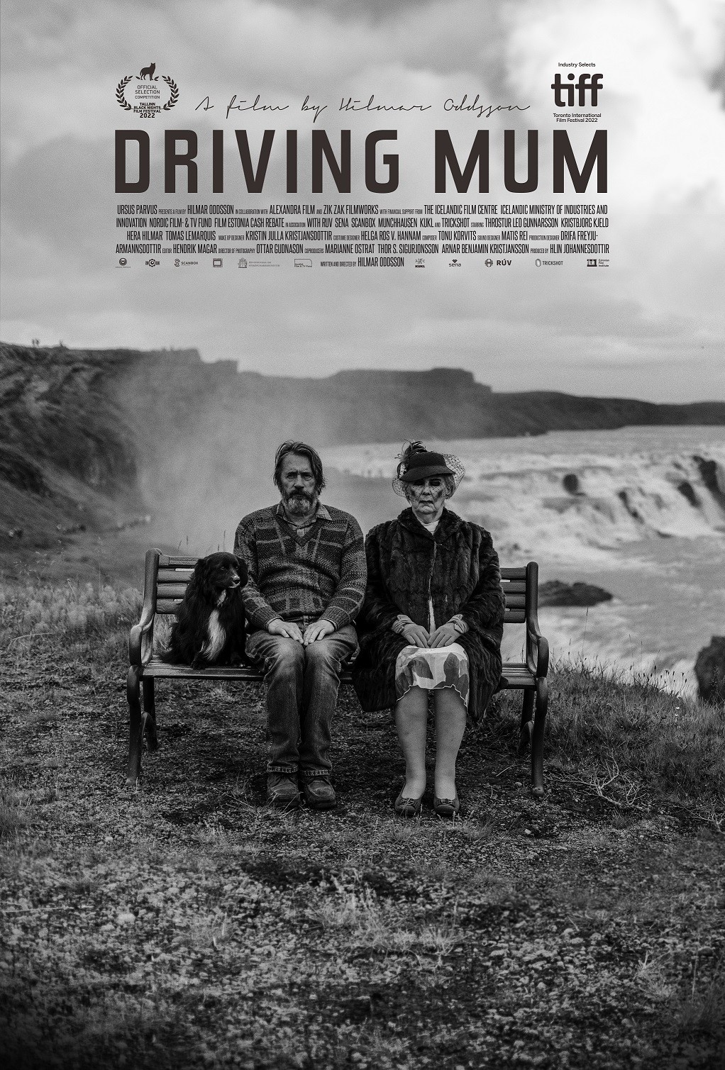 Driving Mum Rotten Tomatoes
