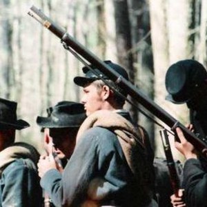 Wicked Spring - Rotten Tomatoes