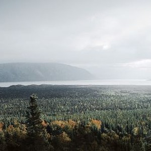 Edge of Alaska - Rotten Tomatoes