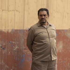 Narcos: Mexico - Rotten Tomatoes