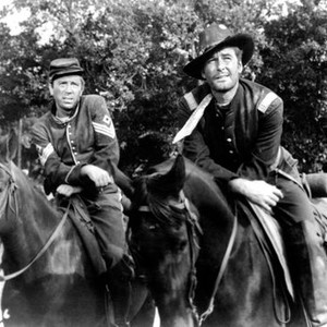 Tom D'Andrea - Rotten Tomatoes