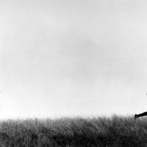 Anita Sanders - Rotten Tomatoes