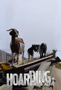 Hoarding: Buried Alive - Rotten Tomatoes