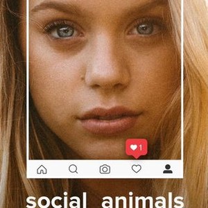 Social Animals - Rotten Tomatoes