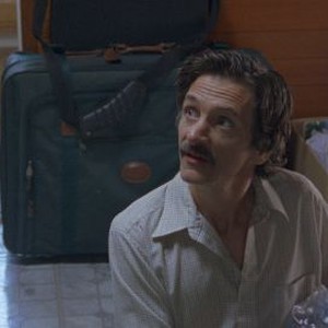 Arcadia - Rotten Tomatoes