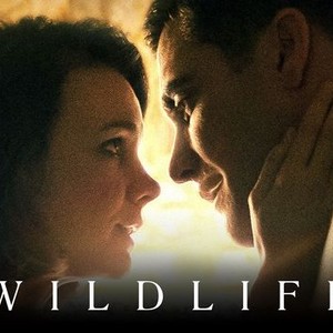 Wildlife - Rotten Tomatoes