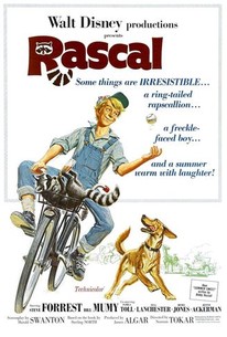 Rascal | Rotten Tomatoes
