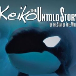Keiko: The Untold Story - Rotten Tomatoes